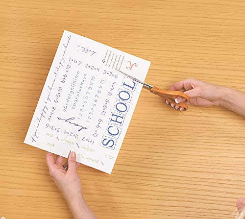 '''Avery Matte Frosted Clear Full Sheet Labels for Inkjet Printers 8.5 ...